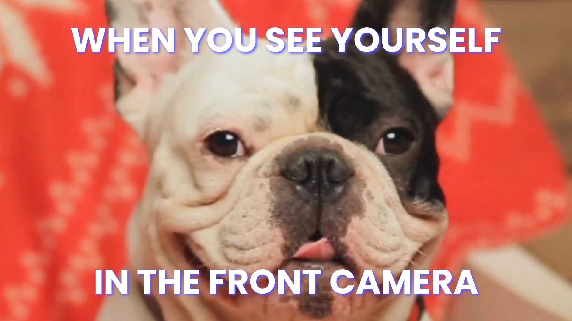 Add Moving Text to Your Videos - VEED.IO